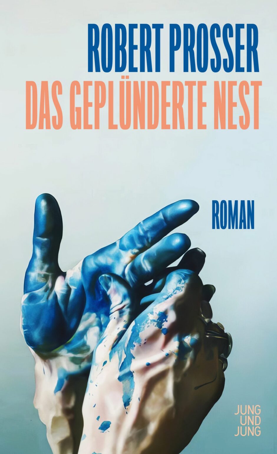 Marko Dinić - Das Buch der Gesichter - LiteraturReich